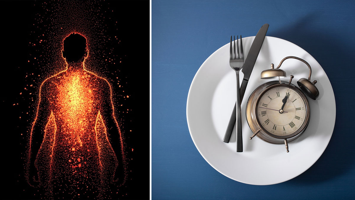 5 dagars fasta: detta händer med kroppen dag för dag – Företagande.se