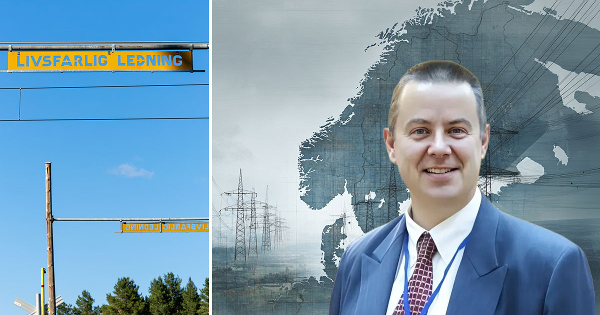 Södra Sveriges elkris: varför batterilagring inte räcker – Företagande.se